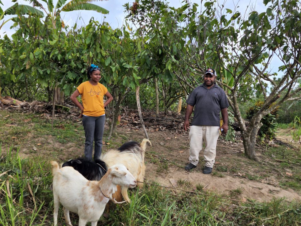 UNRE Integrated Agriculture Training Program: Cocoa and Goat ...